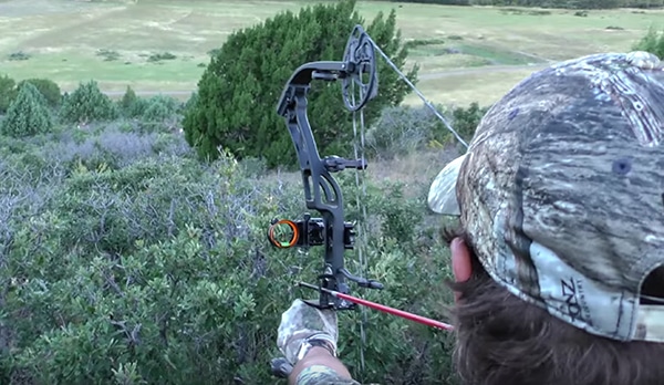 '10 Seconds Of Red': Bowhunting Advice For Better Kill Shots - HuntStand