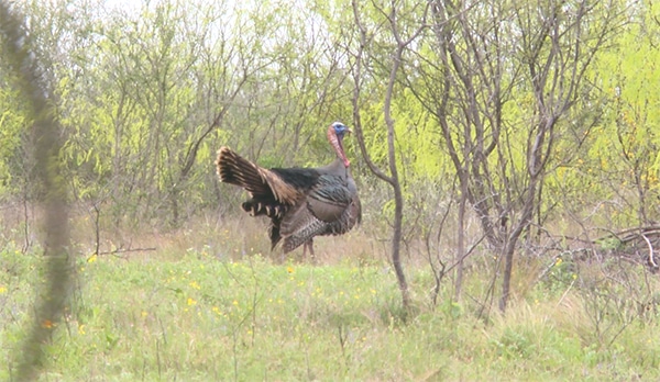 Season 1, Episode 7 – Teaser [The HUNGER] - HuntStand