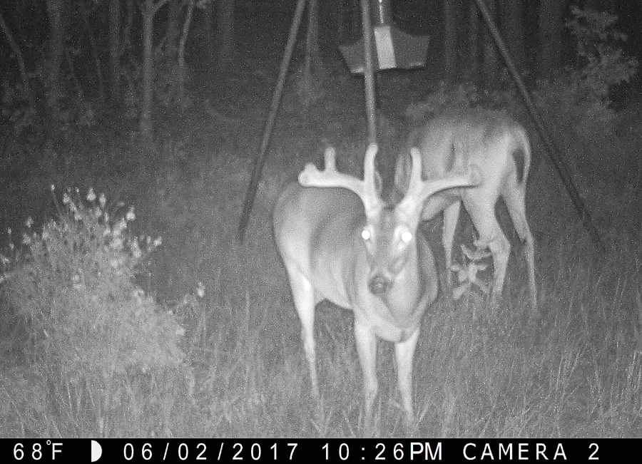 A Promising Texas Buck Returns? [Big Buck HIT LIST] - HuntStand