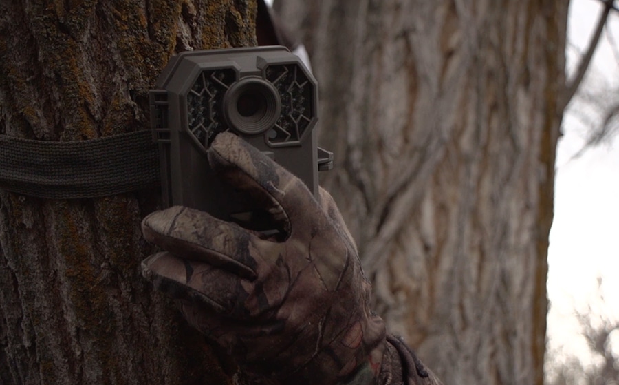 How To Get Mature, Big Bucks On Trail Cameras - HuntStand