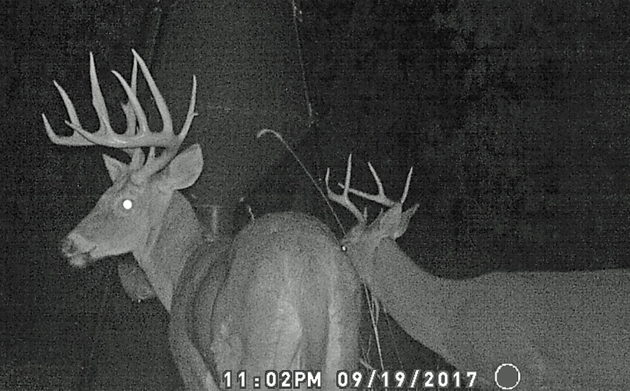 Burly West VA Buck Is Our Final Winner [Big Buck HIT LIST] - HuntStand