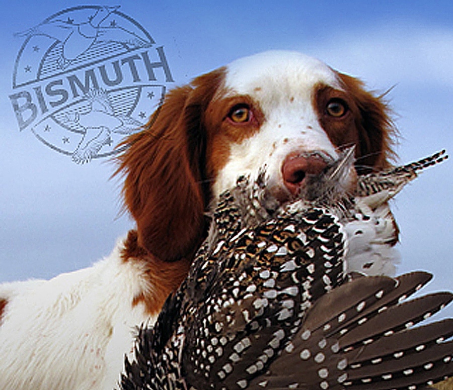 Kent Bismuth Is Back: Better Than Ever - HuntStand