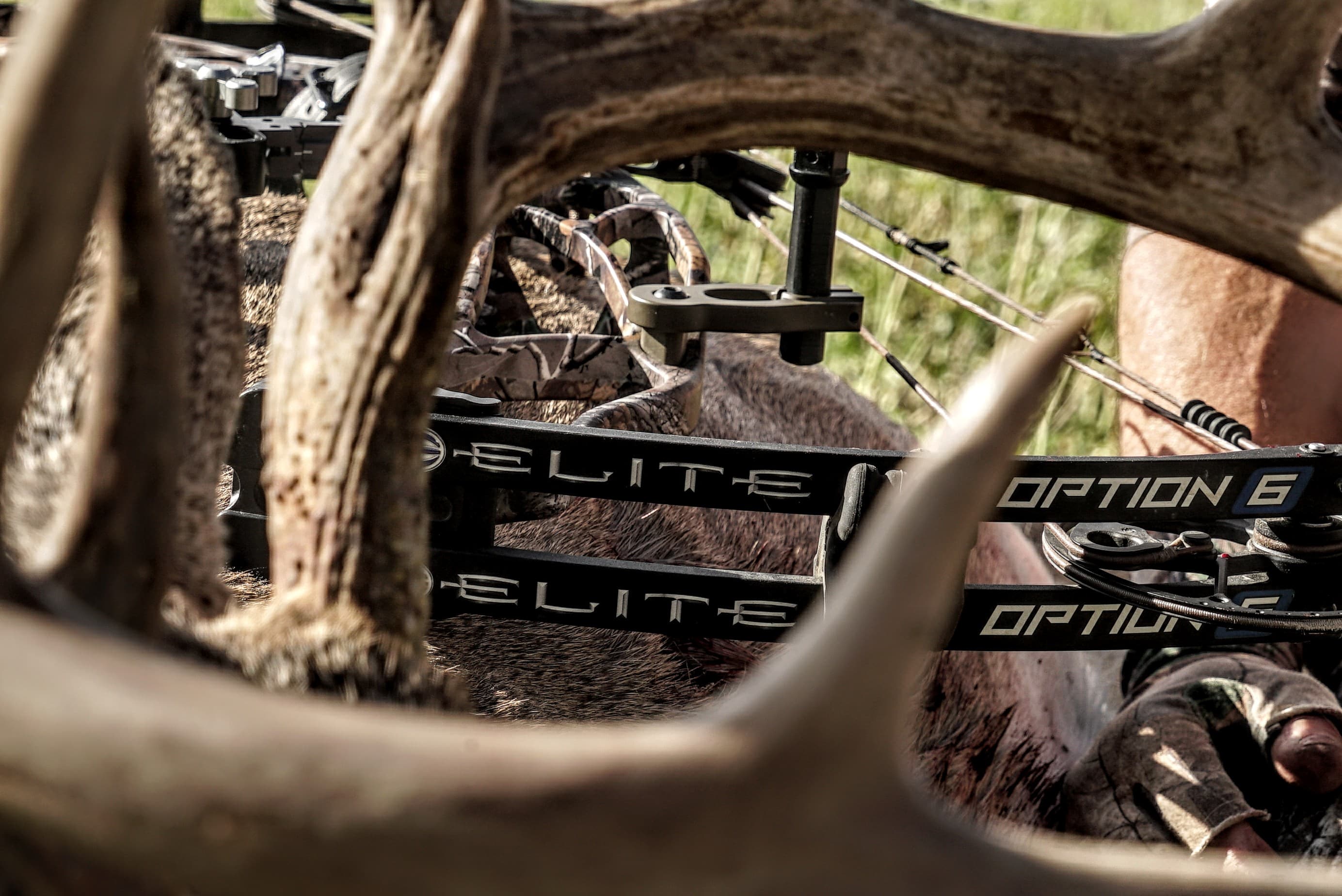 Elite Archery Option 6 Compound Bow [Review] - HuntStand
