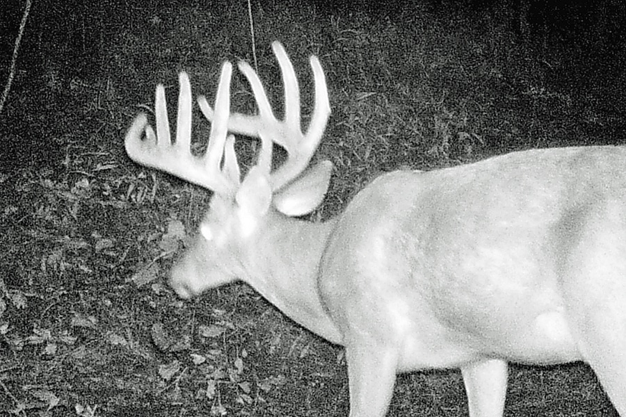 Marc Lowe Is Our 2020 Big Buck HIT LIST Grand Prize Winner -HuntStand