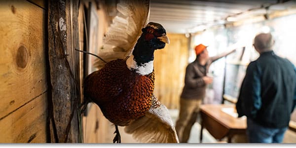 ENTRY CONFIRMED: 2020 ROCKIN' ROOSTER GIVEAWAY - HuntStand