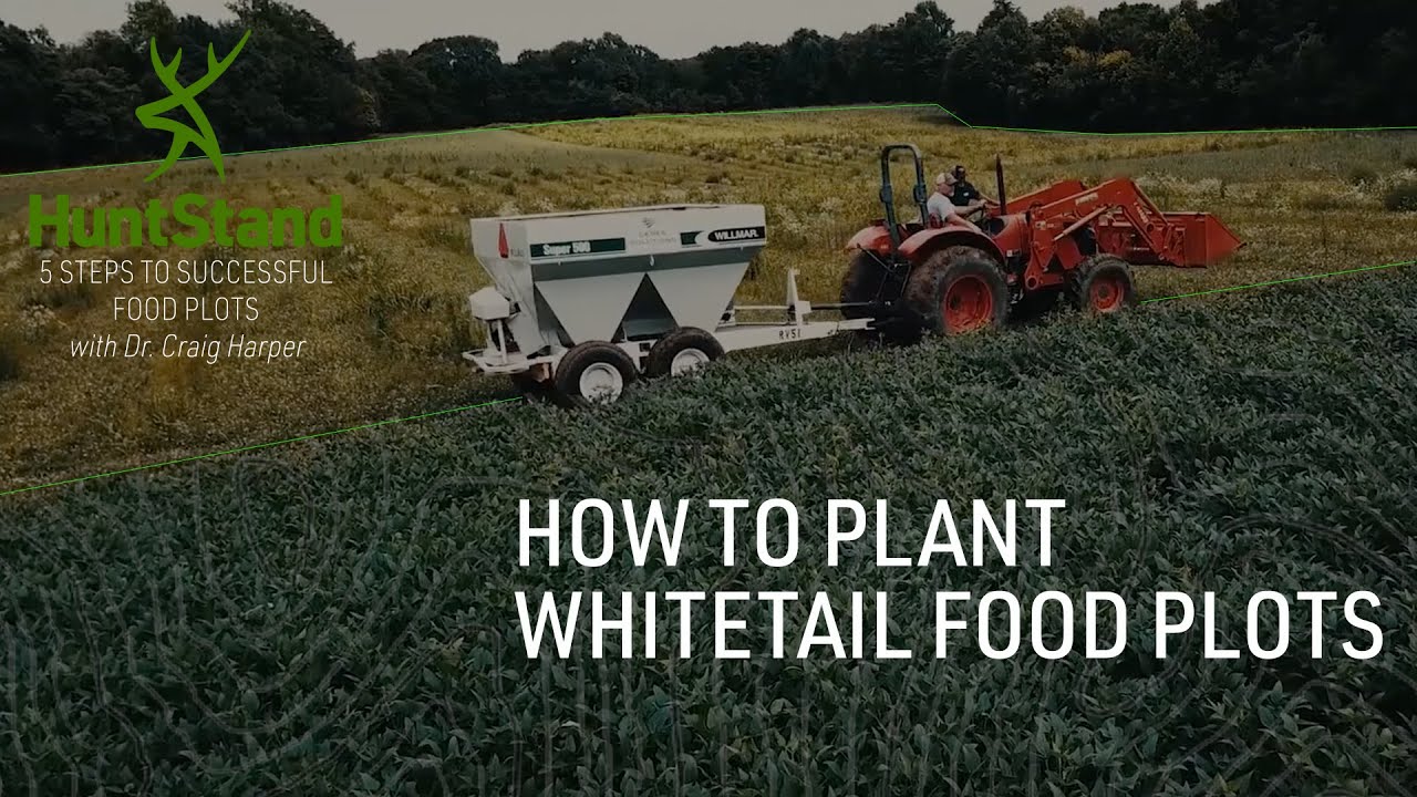 How To Plant Whitetail Food Plots - HuntStand
