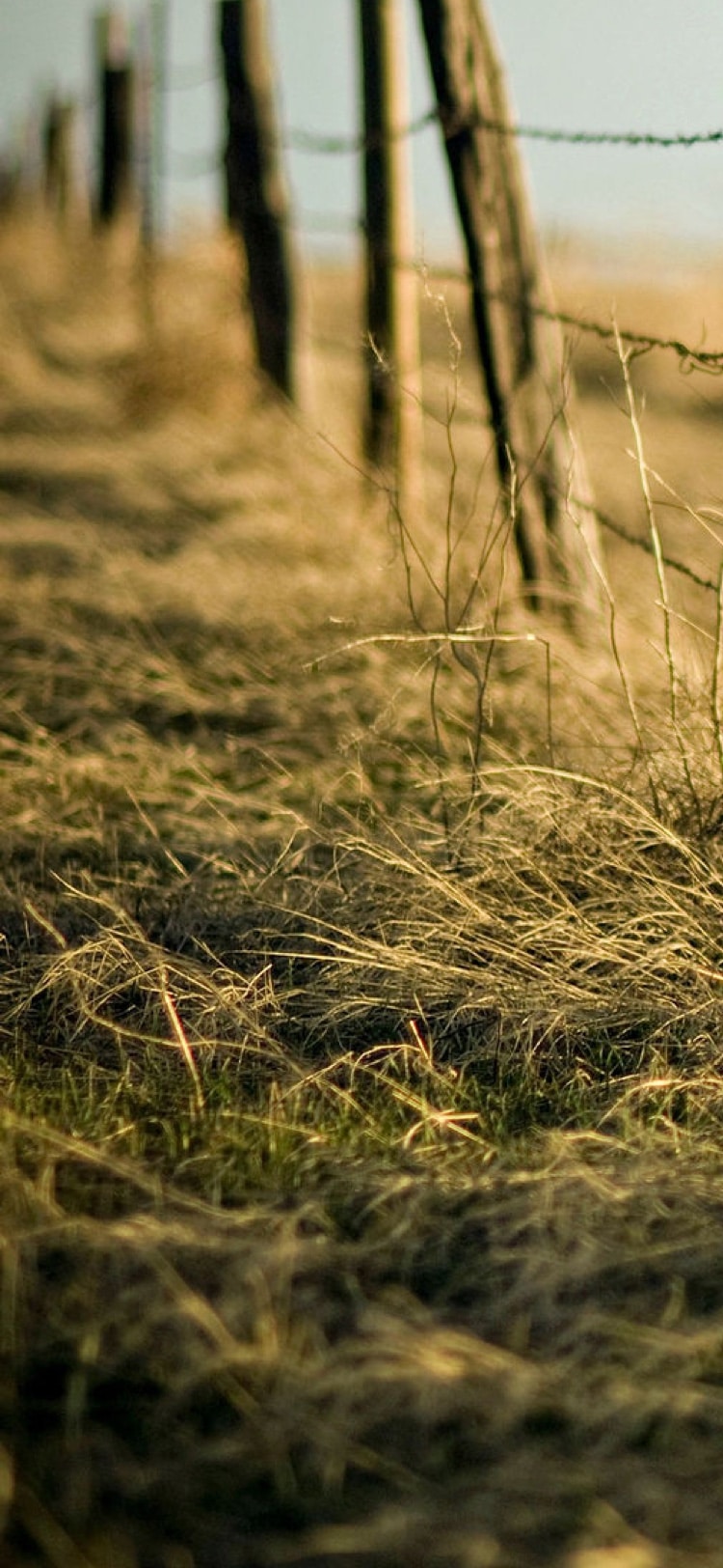 HuntStand Pro - Powerful Mapping & Hunting Tools