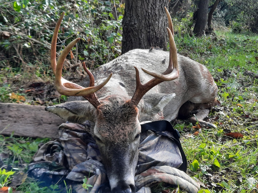 HuntStand Points Way To Newcomer PA Buck [Big Buck ALERT] - HuntStand