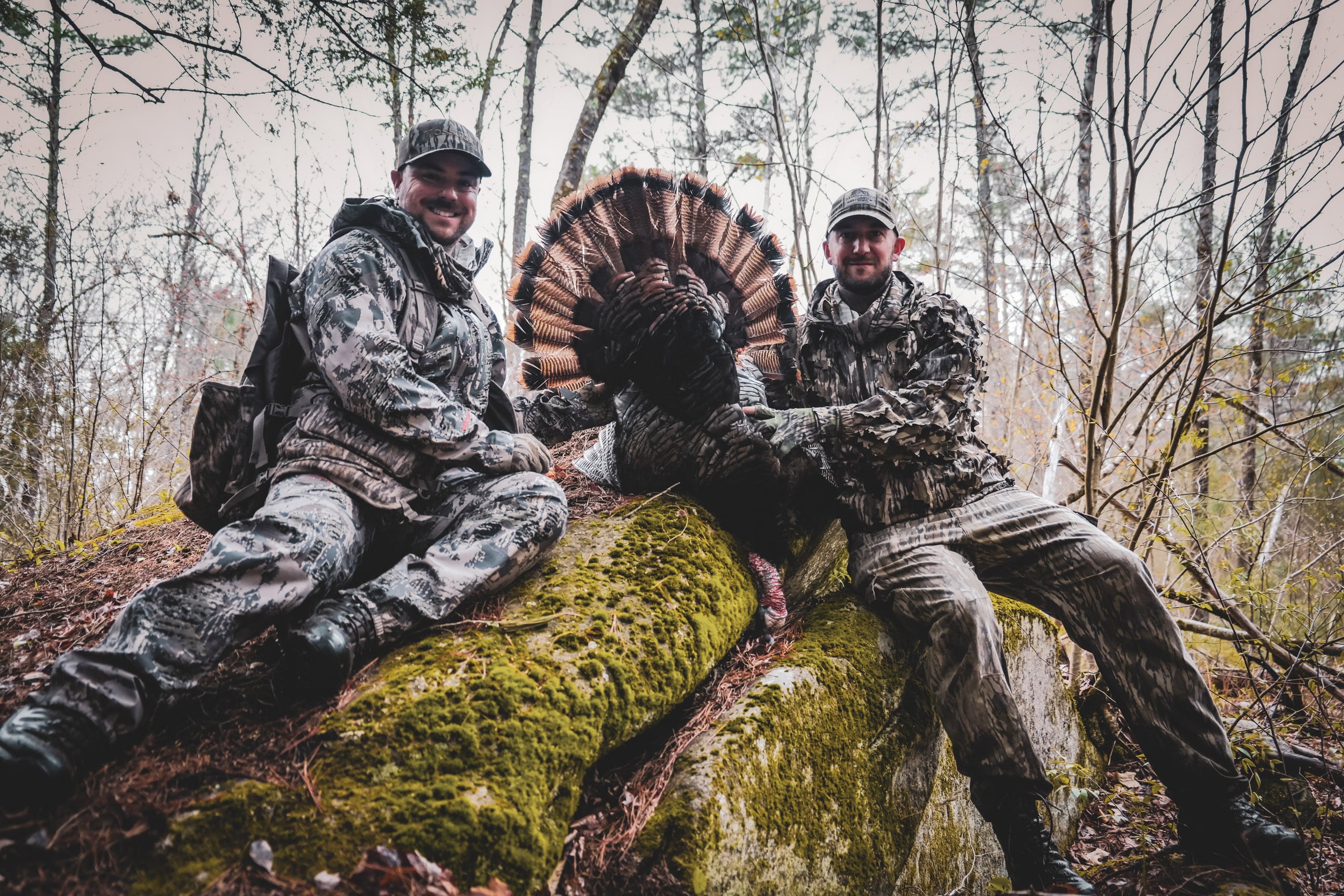 Turkey Hunting In The Northeast - HuntStand