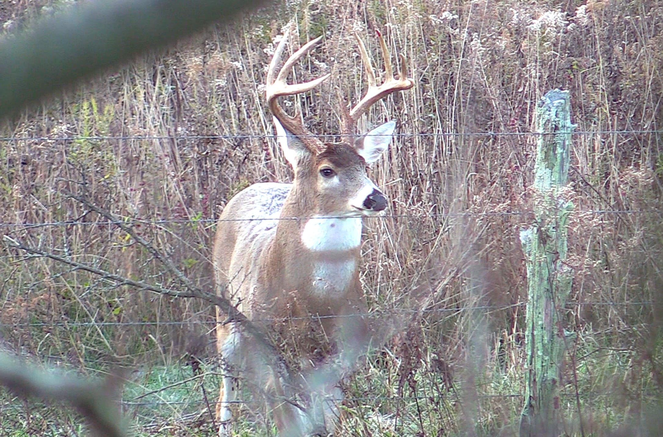 How To Manage Hunt Clubs & Leases With HuntStand Pro - HuntStand