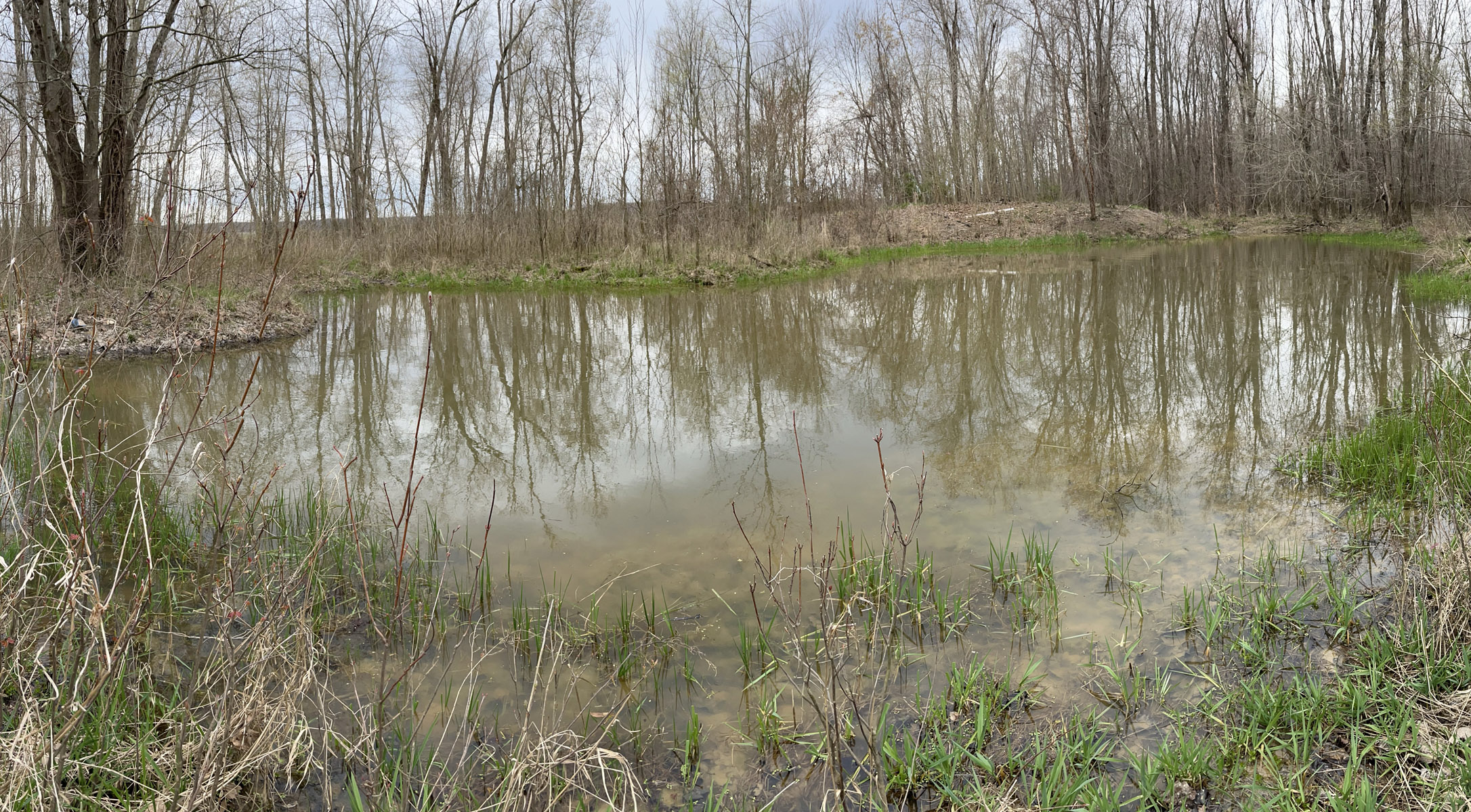 Hunting Pre-Rut Whitetails with HuntStand - HuntStand