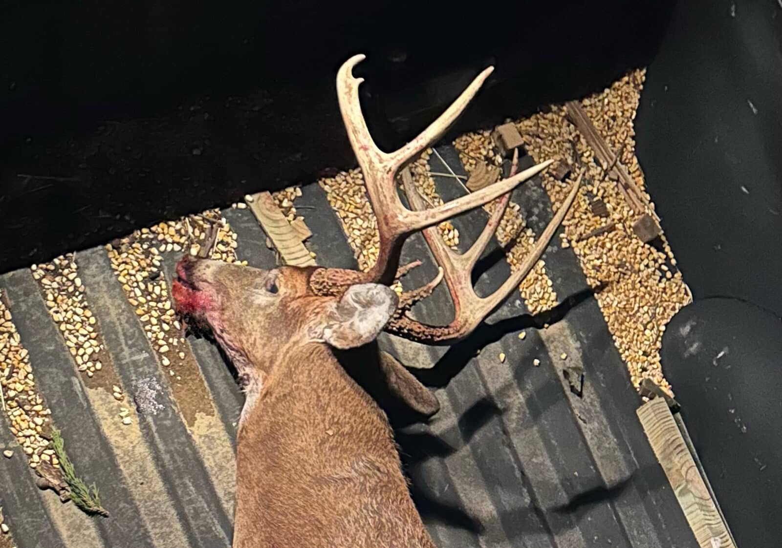 HuntStand Success: A Trophy Buck Tale You Won't Believe - HuntStand