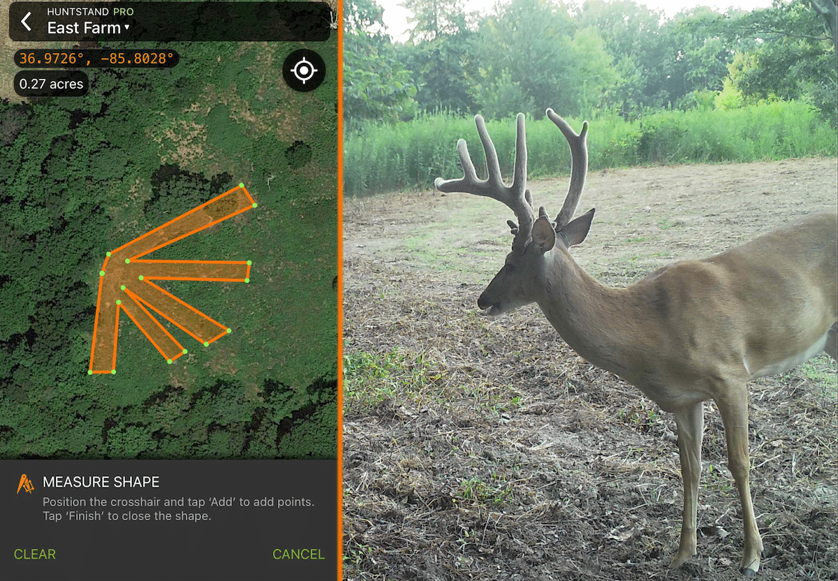 15 Questions Food Plotters Need Answers To - HuntStand