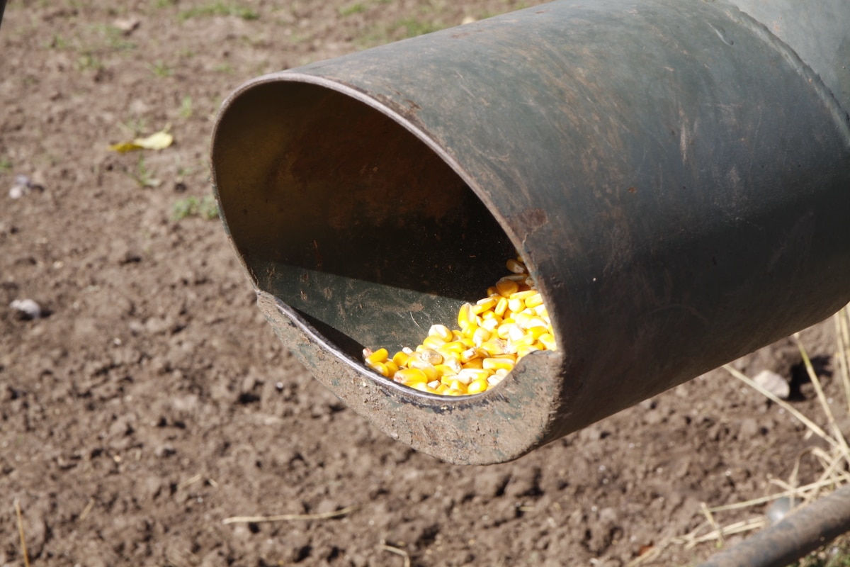 How to Hunt Your Neighbors’ Deer - HuntStand