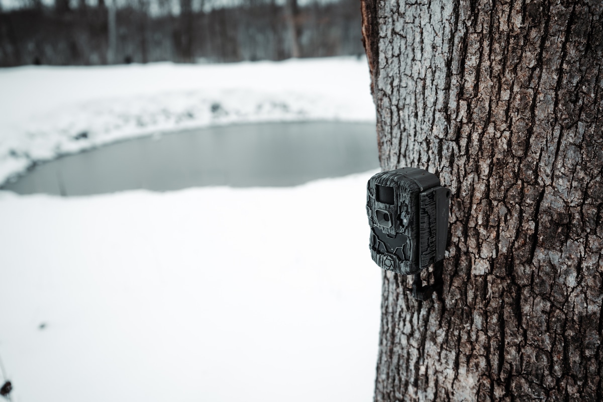 7 Trail Cam Spots for Public-Land Deer Hunters - HuntStand