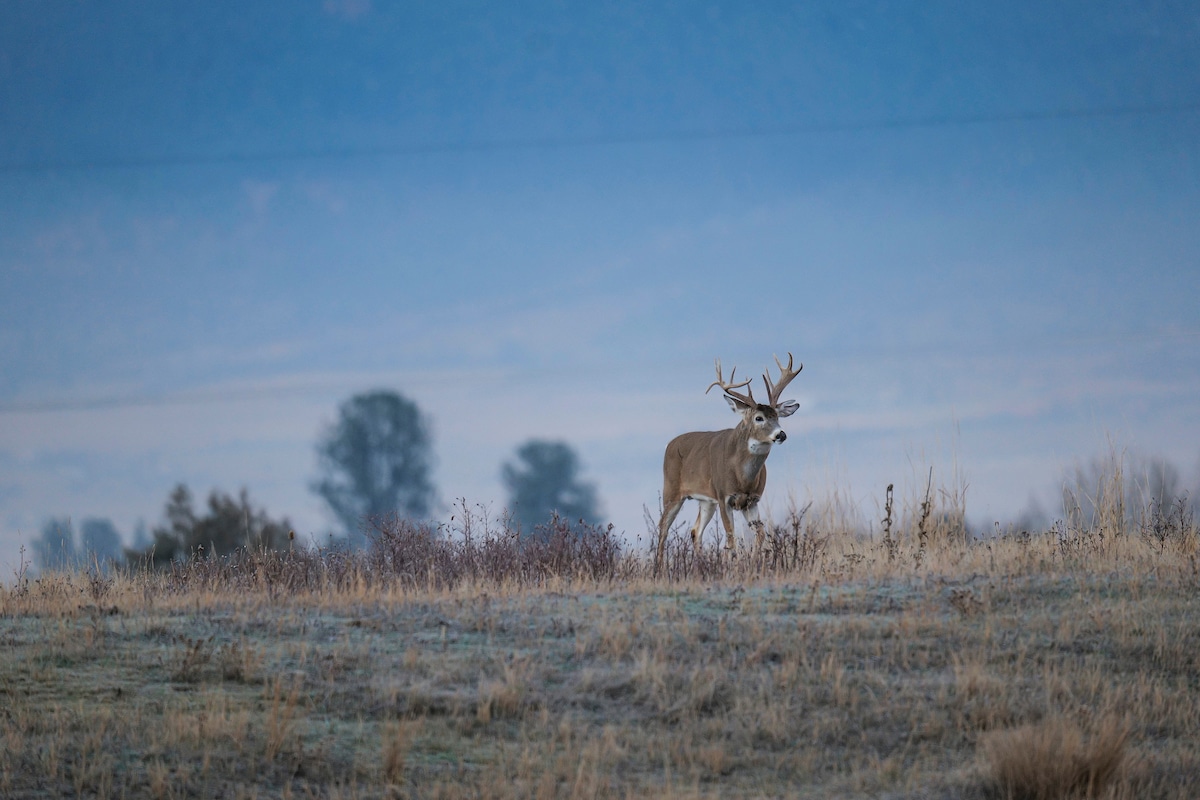 How to Protect Your Hunting Spot - HuntStand