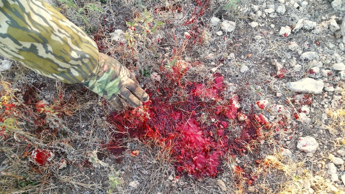 Blood Trailing Deer with Confidence - HuntStand