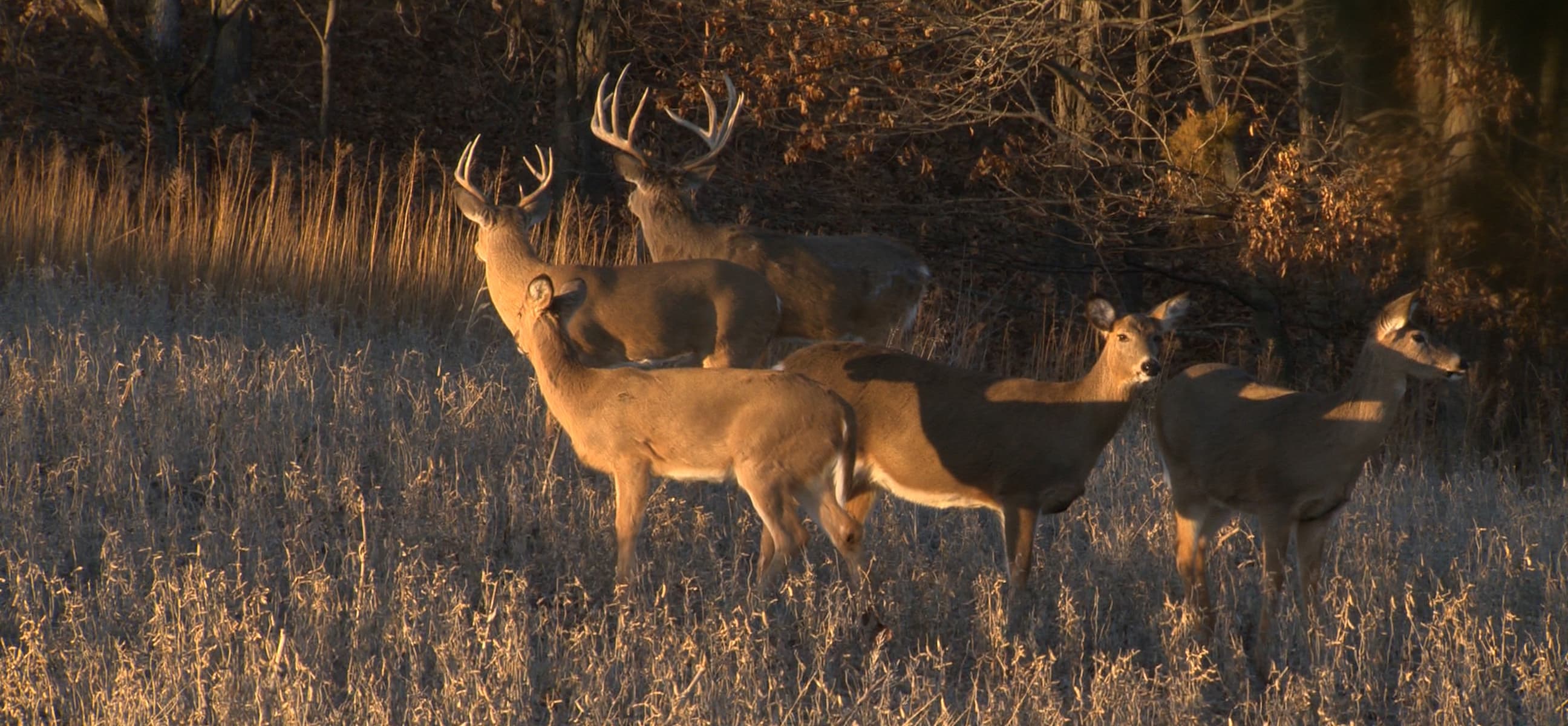 HuntStand - The #1 Hunting and Land Management App