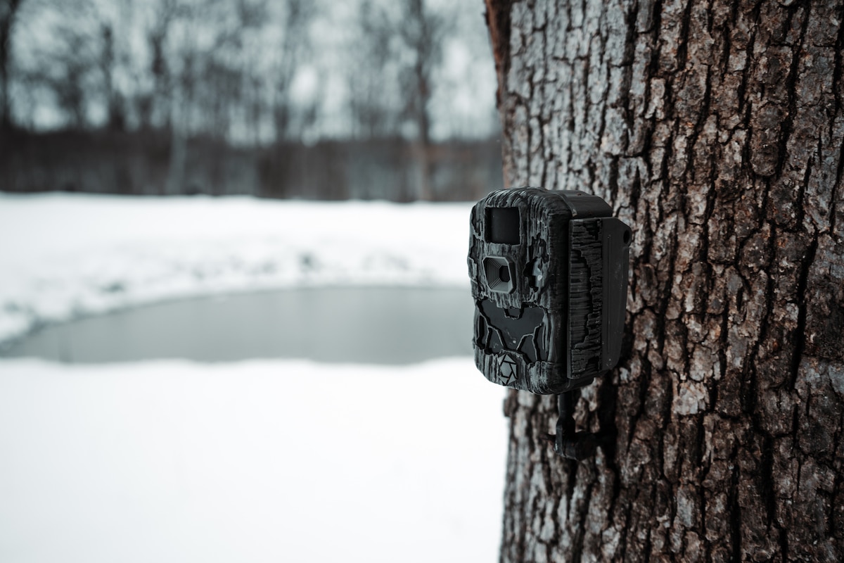 Overlooked Public Deer Hunting Hotspots: How Mature Bucks Use Water ...