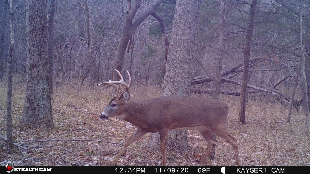 The Best Times to Hunt the Whitetail Rut - HuntStand