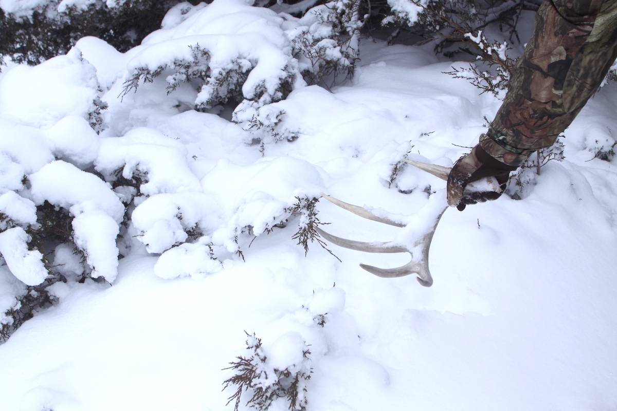 Post-Season Scouting Tips for Deer - HuntStand