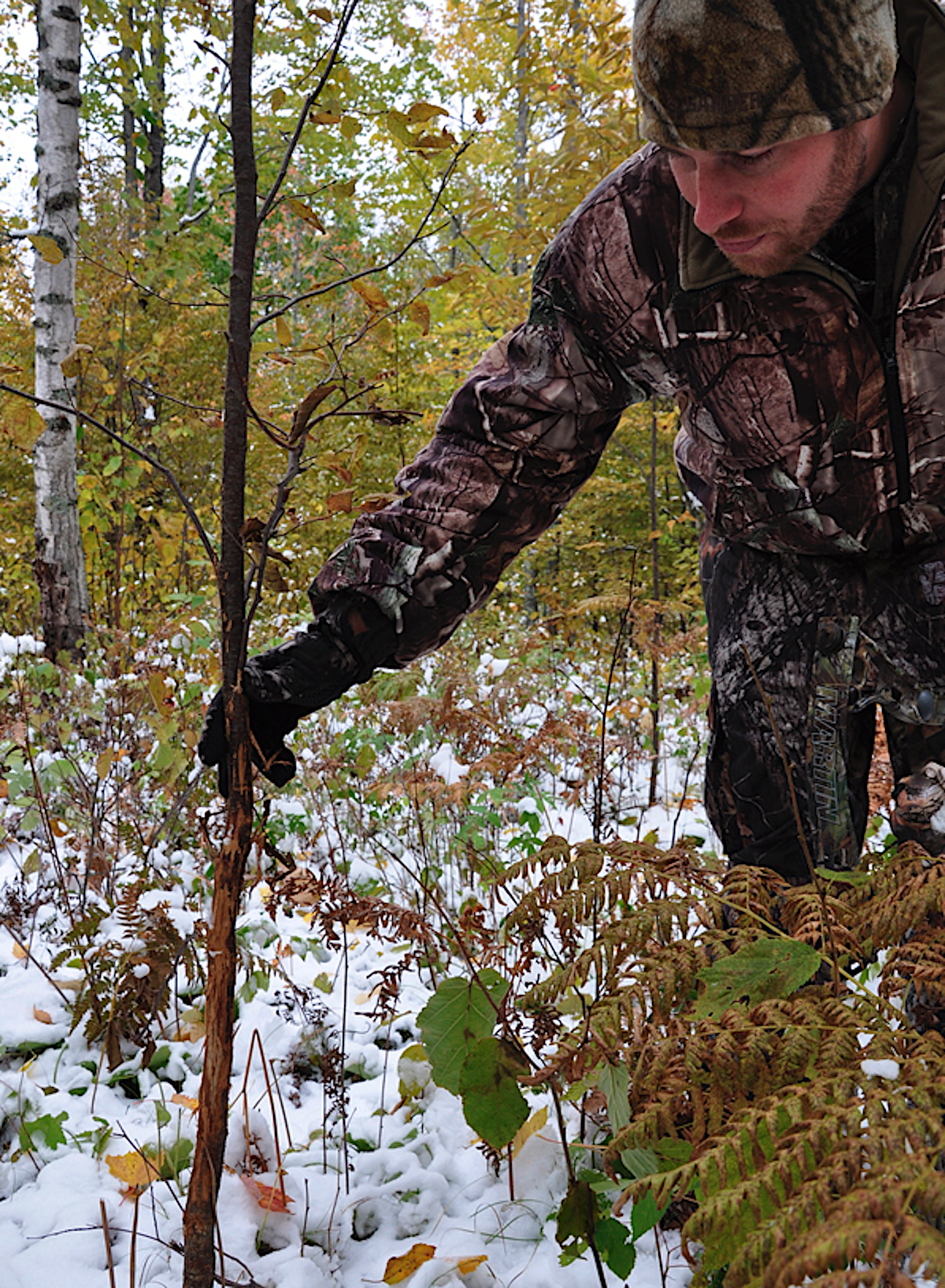 How to Scout Deer in Winter - HuntStand