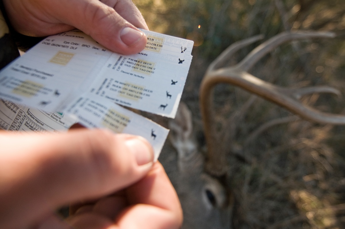 Your Guide to Western Big Game Draws: From Point Systems to ...