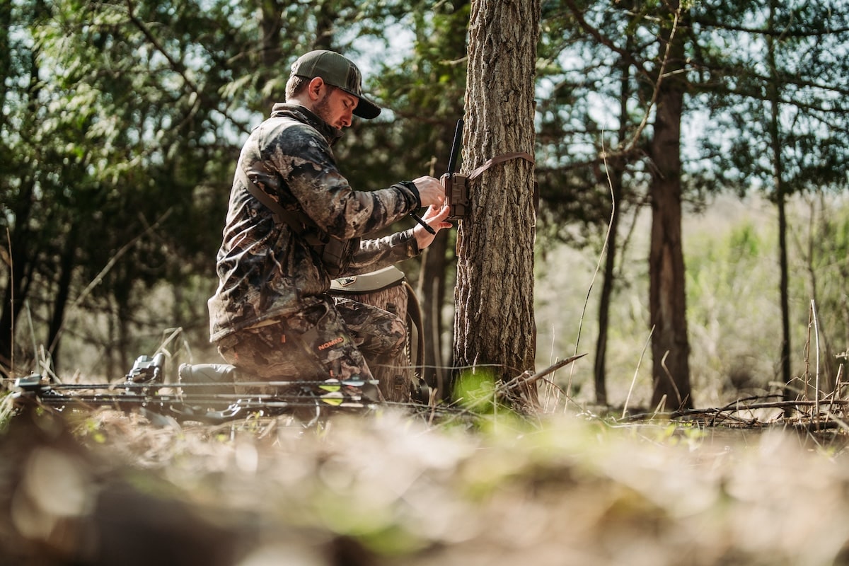 How to Plan and Plant the Best Food Plot for Deer - HuntStand