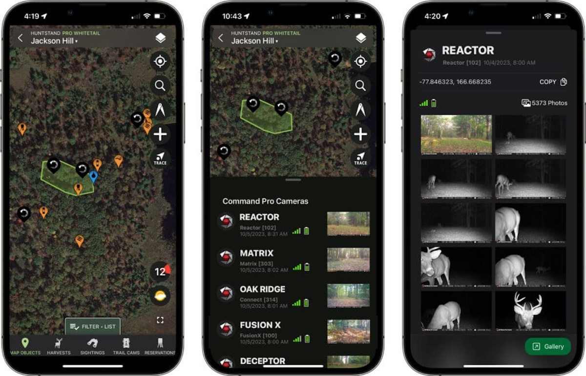 15 Ways to Get the Best Cellular Trail Camera Photos - HuntStand