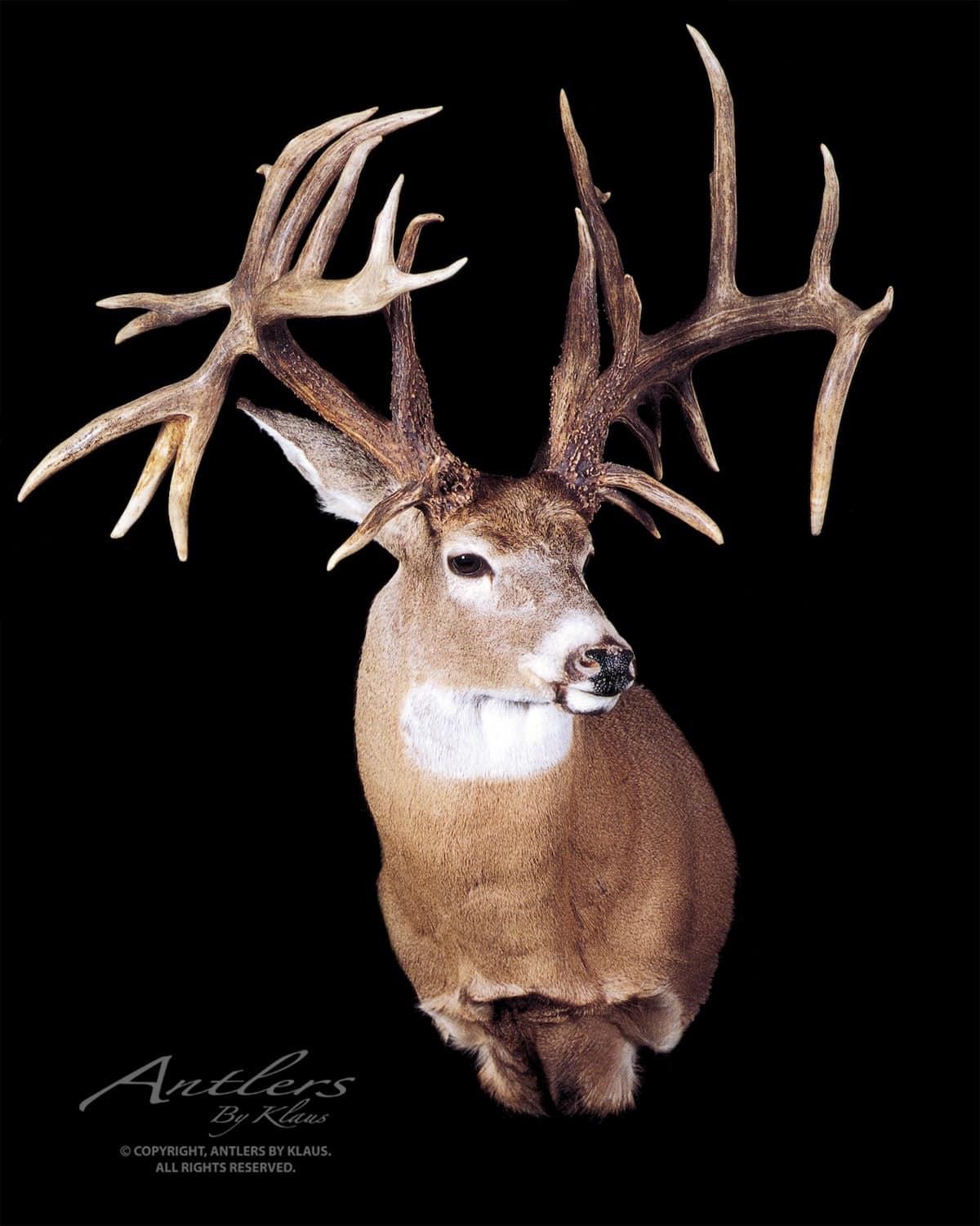 20 Huge Record Deer with Crazy Stories You Won't Believe - HuntStand