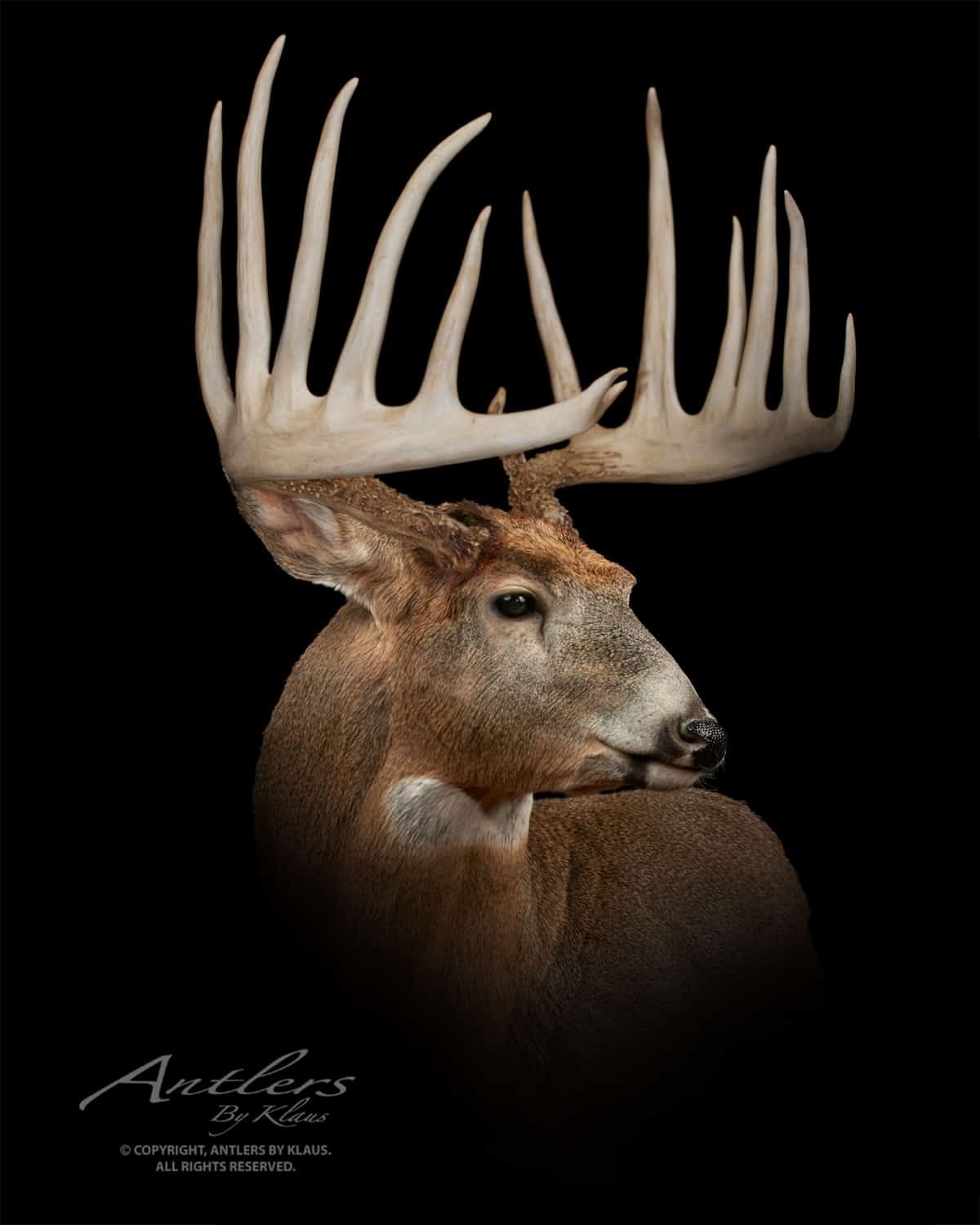 20 Huge Record Deer with Crazy Stories You Won't Believe - HuntStand