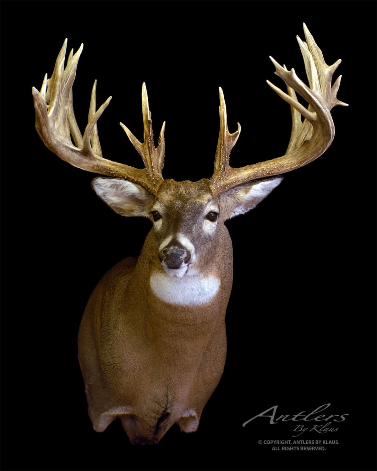 20 Huge Record Deer with Crazy Stories You Won't Believe - HuntStand