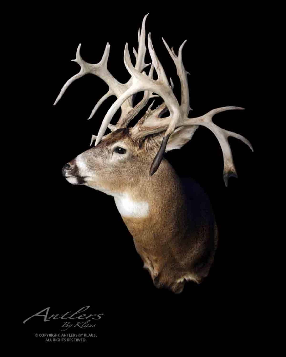 20 Huge Record Deer with Crazy Stories You Won't Believe - HuntStand