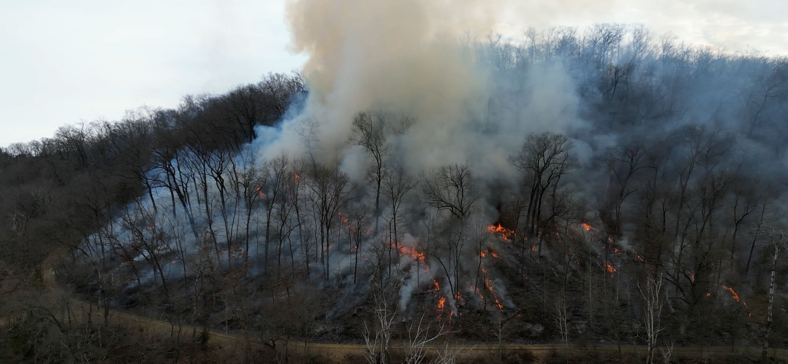 First Steps in Managing a New Deer Hunting Farm [Deer Dirt] - HuntStand