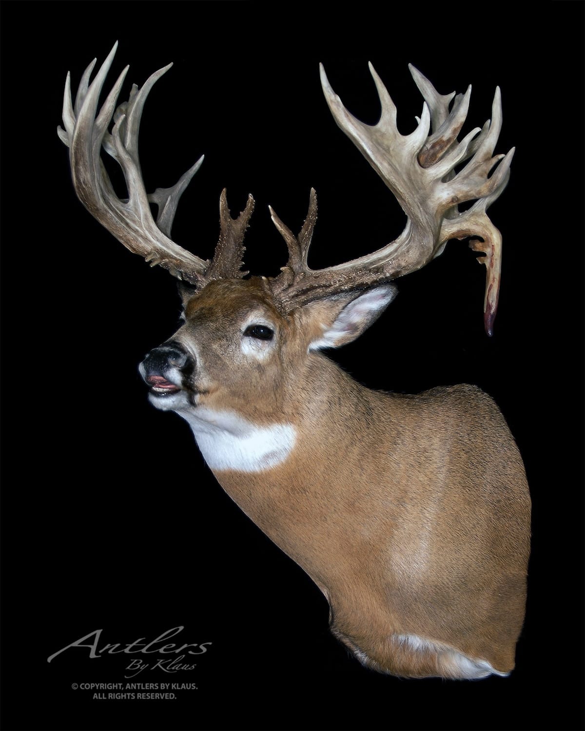 20 Huge Record Deer with Crazy Stories You Won't Believe - HuntStand