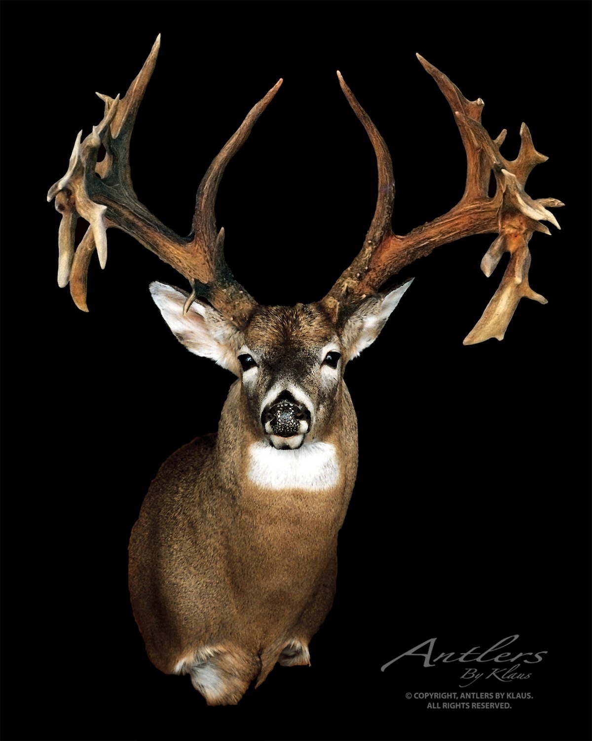 30 Monster Free-Range Bucks You Have to See to Believe - HuntStand