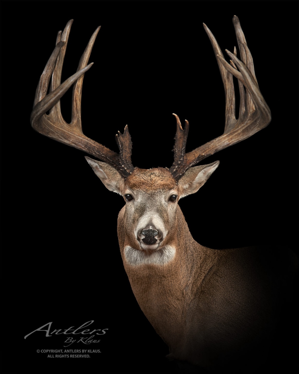 30 Monster Free-Range Bucks You Have to See to Believe - HuntStand