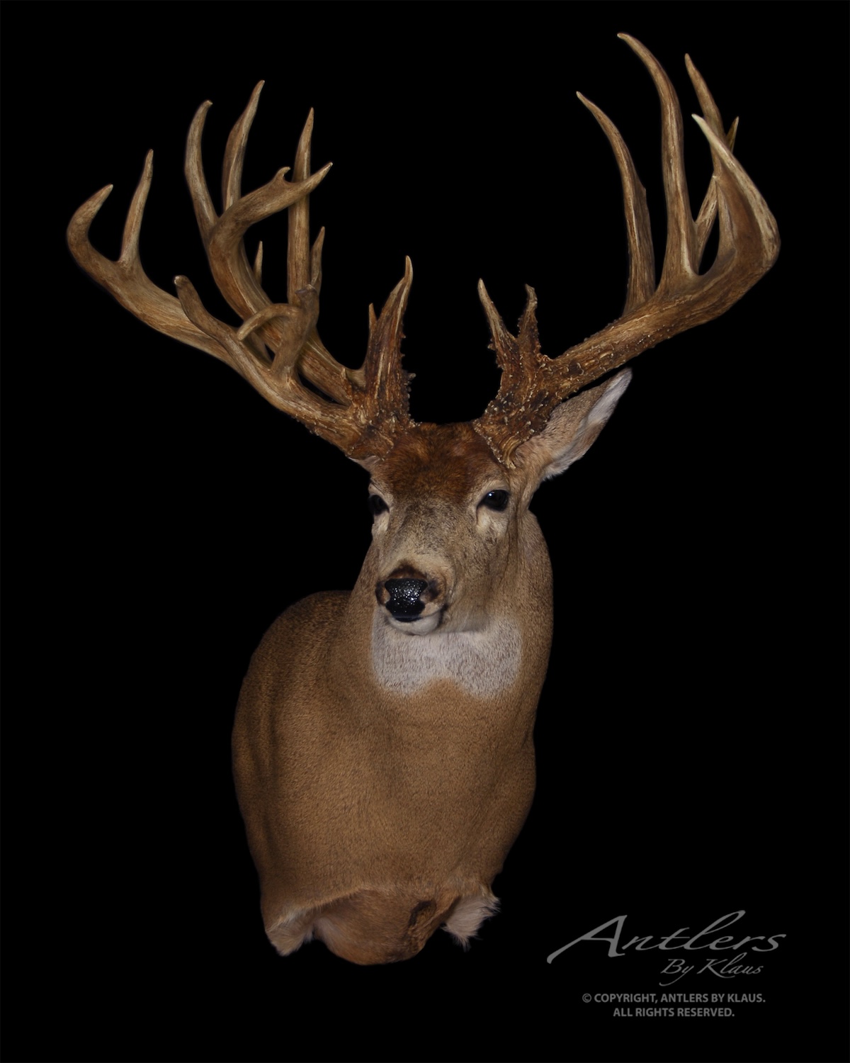 30 Monster Free-Range Bucks You Have to See to Believe - HuntStand