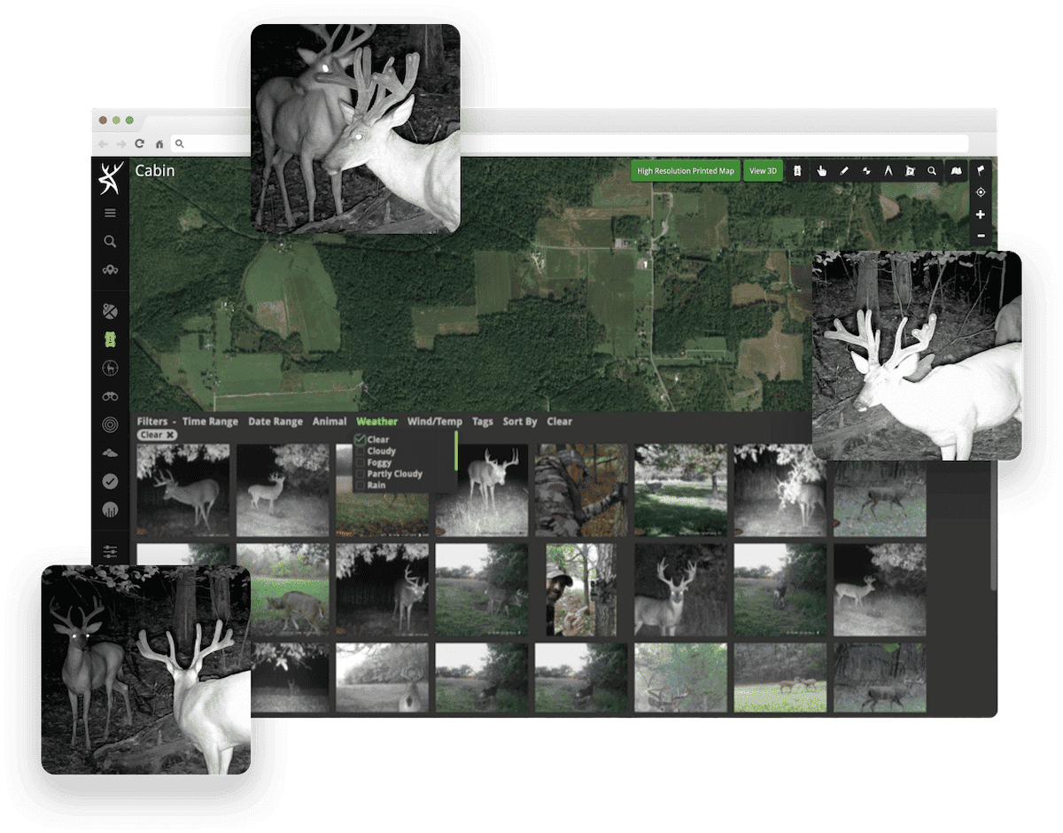 Finding a Buck’s Core Area with Cell Cams - HuntStand