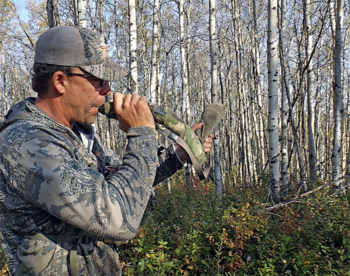 Killer Elk Calling Tips and Tactics - HuntStand