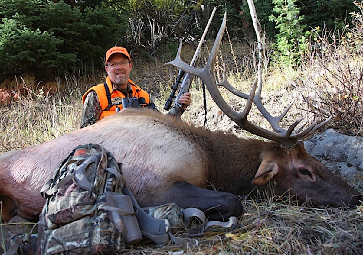 Killer Elk Calling Tips and Tactics - HuntStand