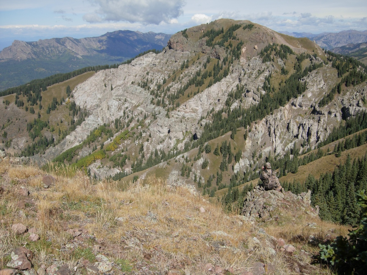 How to Hunt the Elk Rut: Morning, Midday, and Afternoon - HuntStand