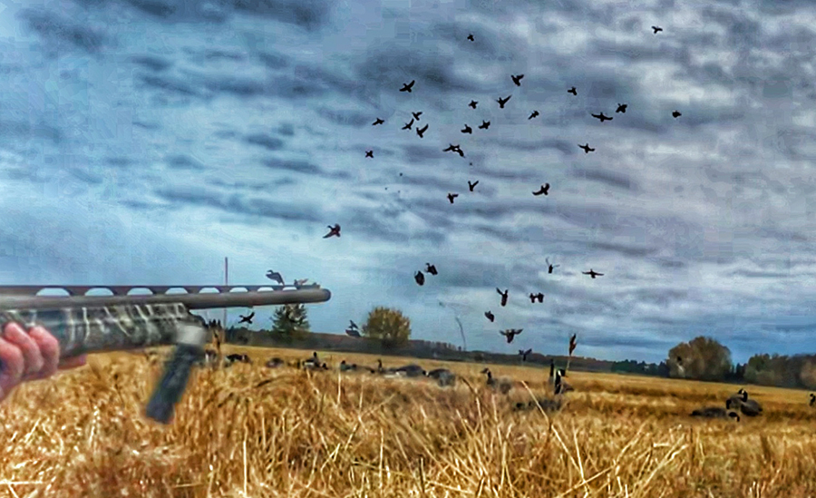 Duck Guide Secrets: Advanced Waterfowl Hunting Tactics - HuntStand