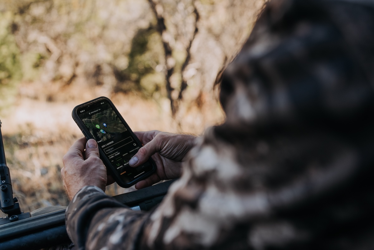 How to Hunt Elk During Gun Season