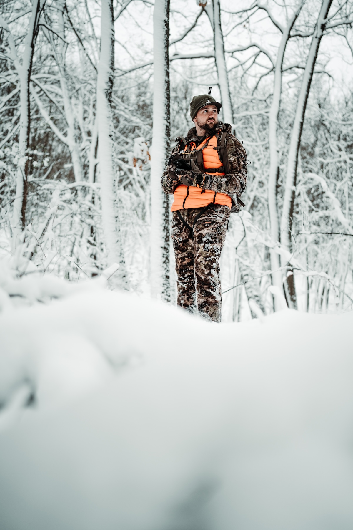 How to Hunt Elk During Gun Season