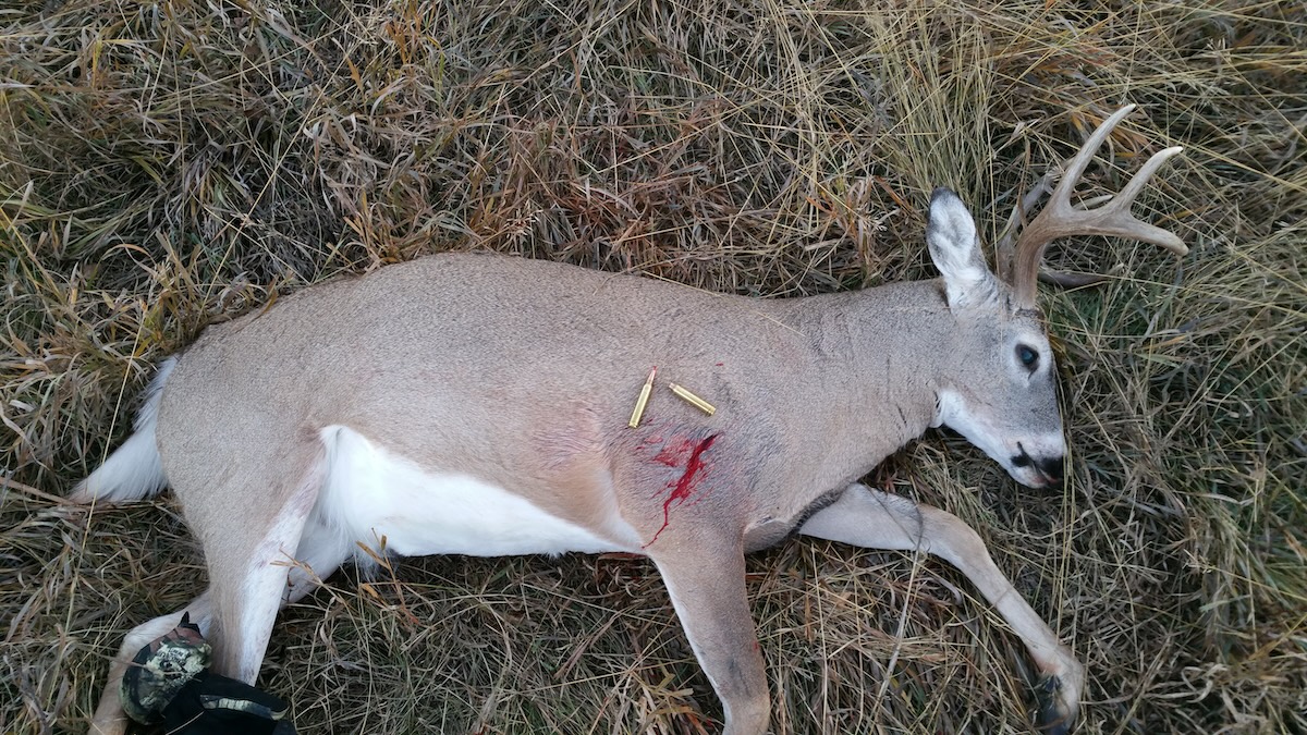 How to Blood Trail and Recover Wounded Deer - HuntStand