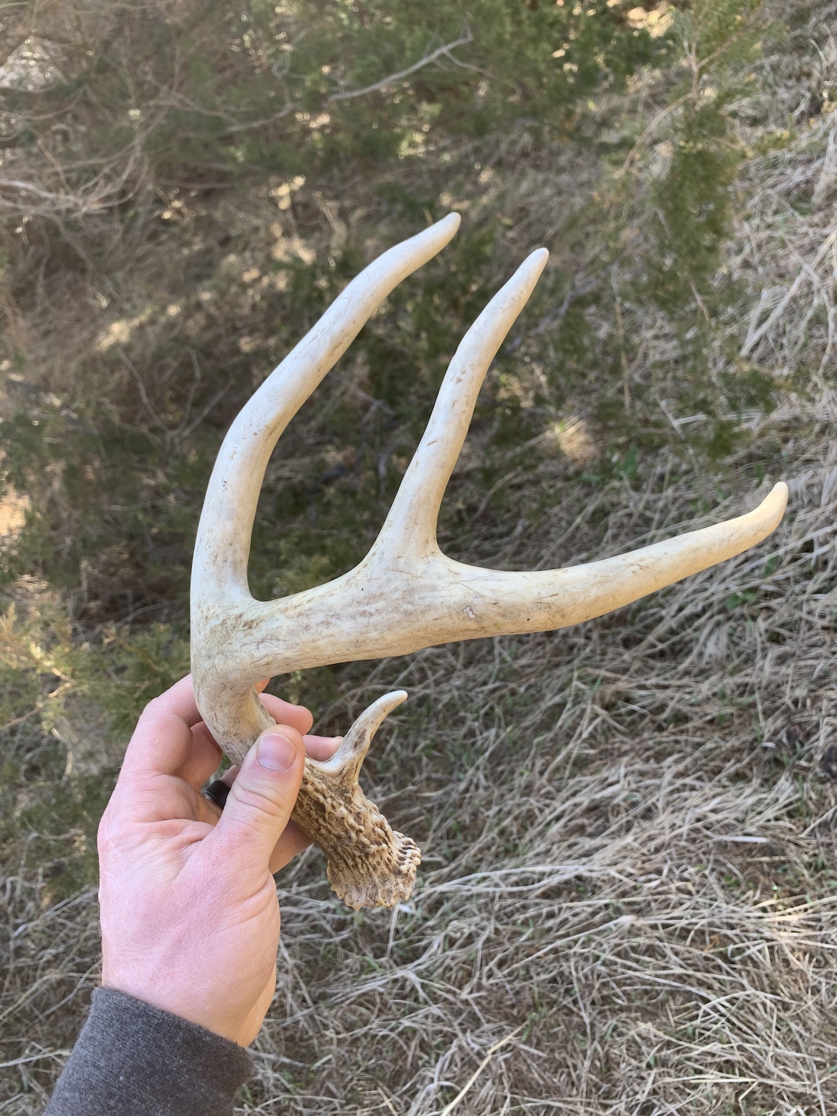 Shed Hunting Hacks, Tips, and Tactics with HuntStand Pro Whitetail ...