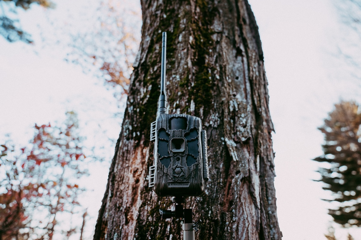 New Cell Cams for 2025 - HuntStand