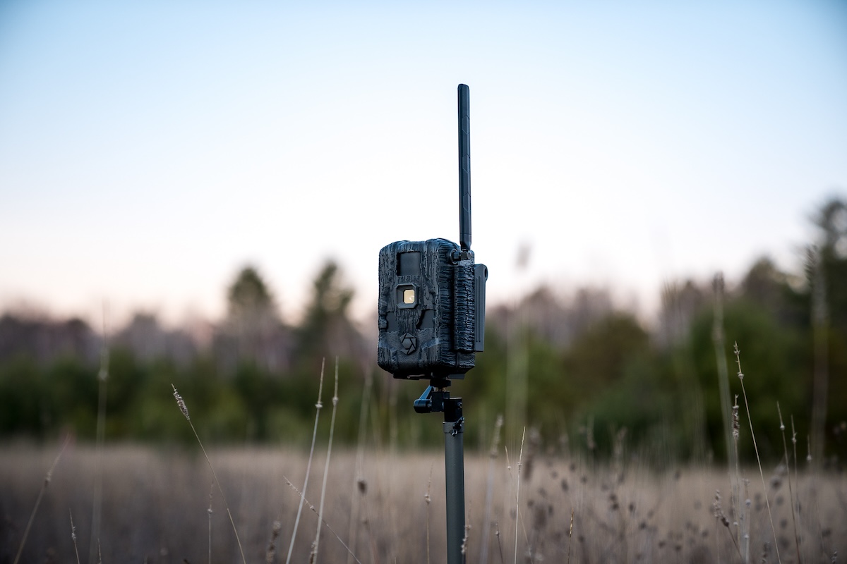 New Cell Cams for 2025 - HuntStand