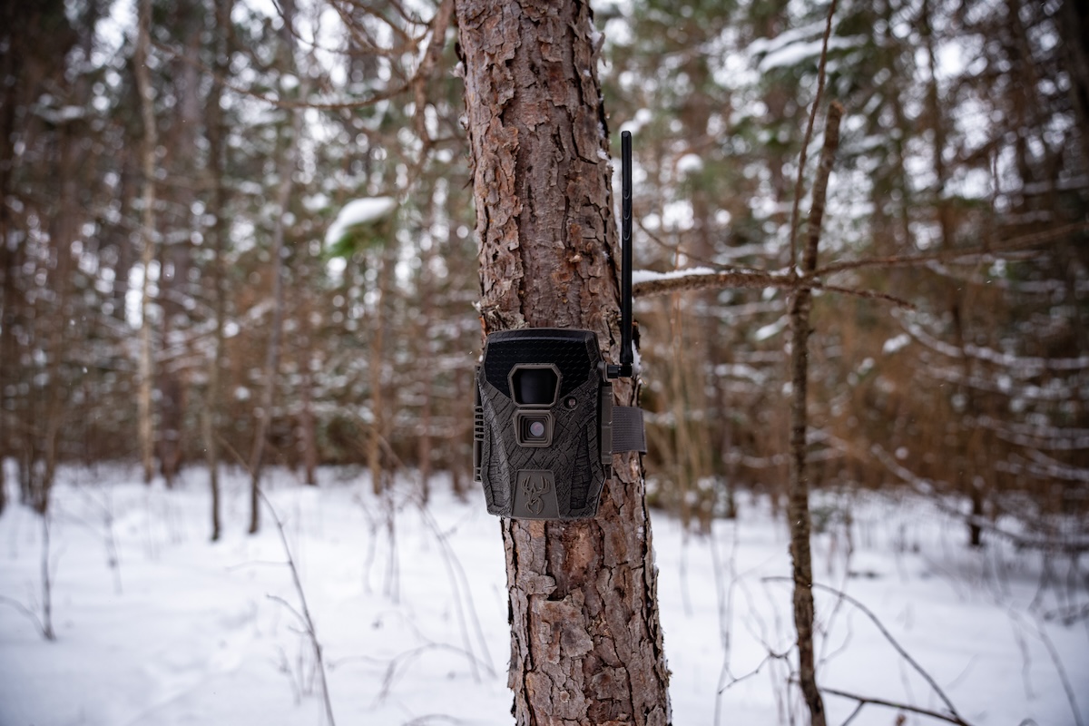 New Cell Cams for 2025 - HuntStand